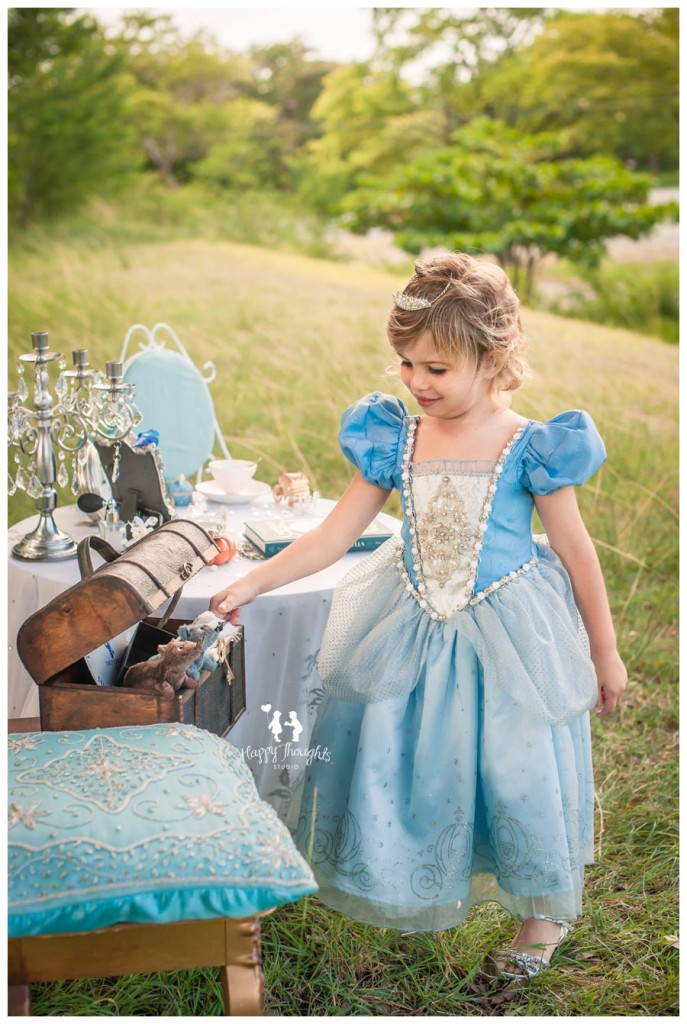 Cinderella Inspired Session